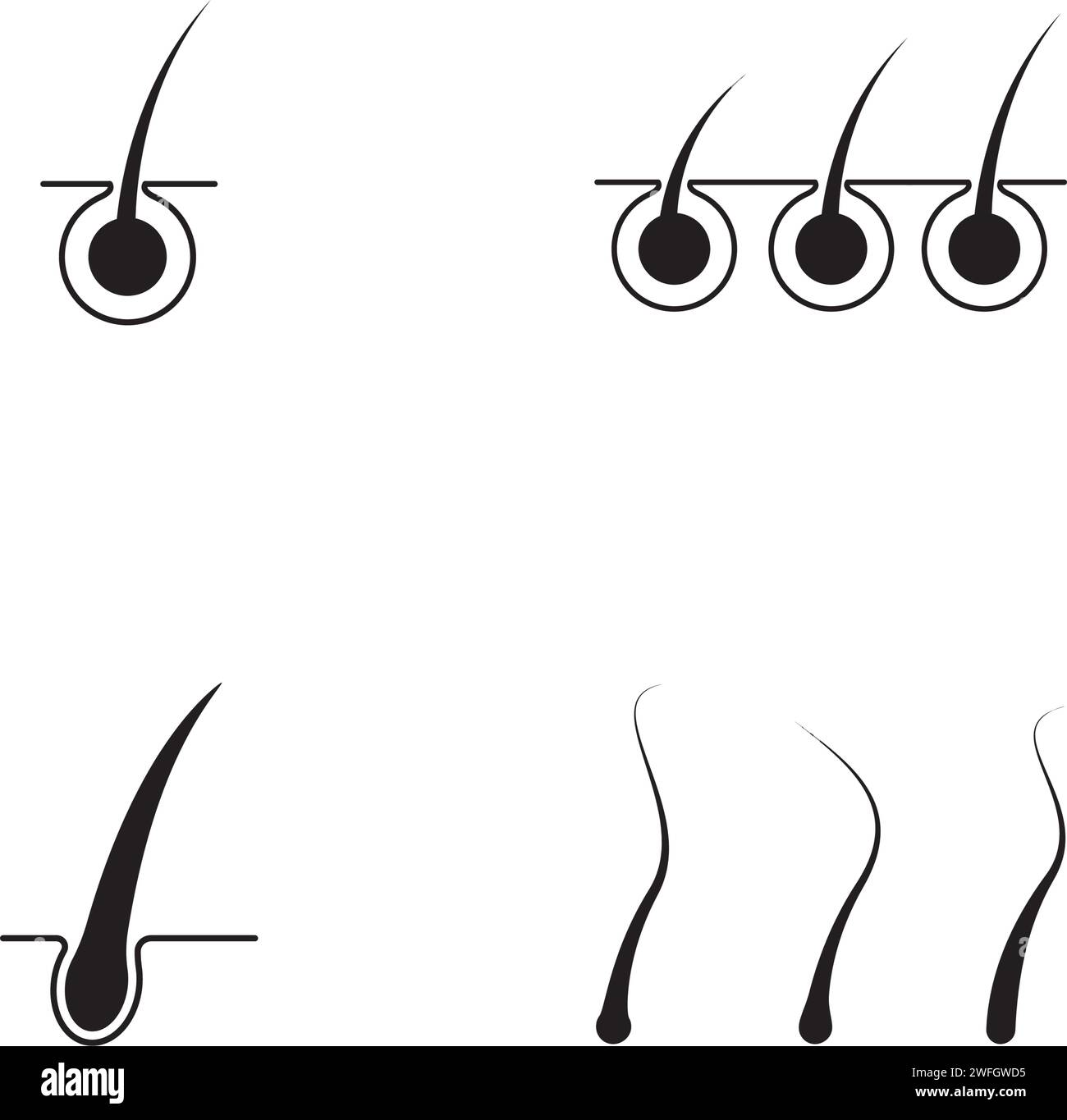 hair icon Vector Illustration design Logo template Stock Vector Image ...