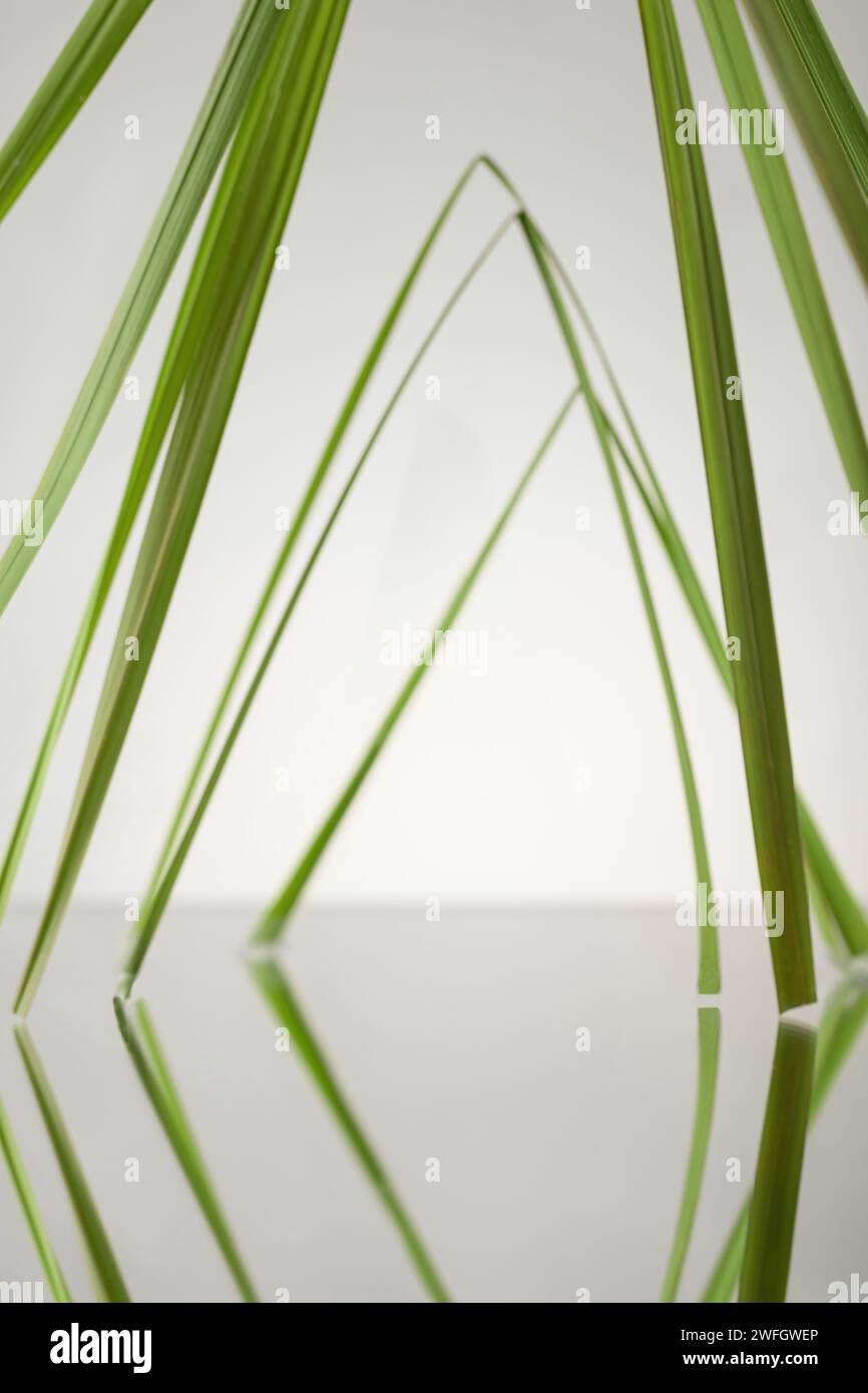 Product showcase backgrounds, product image background, photography ...