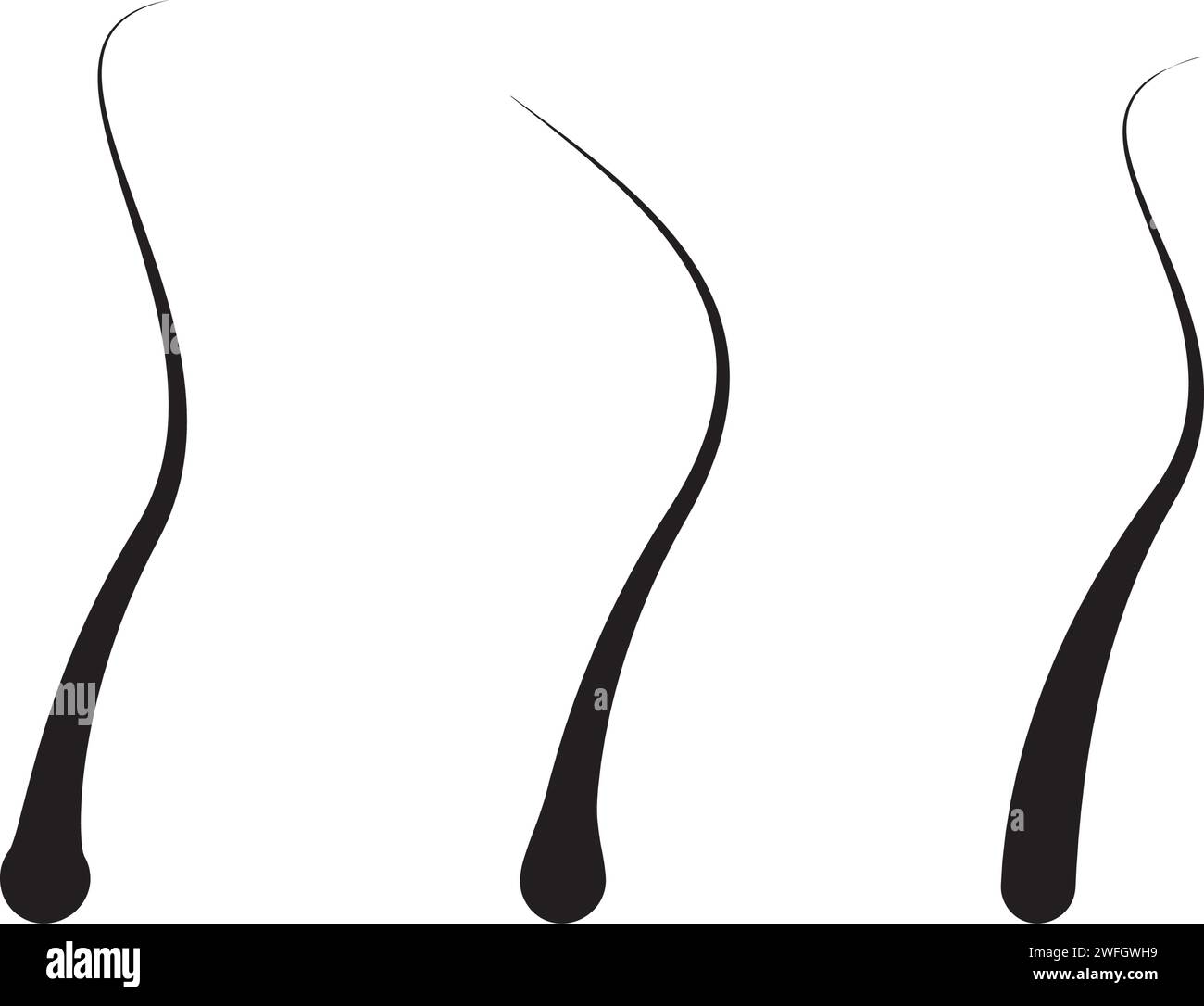 Hairless body Stock Vector Images - Alamy