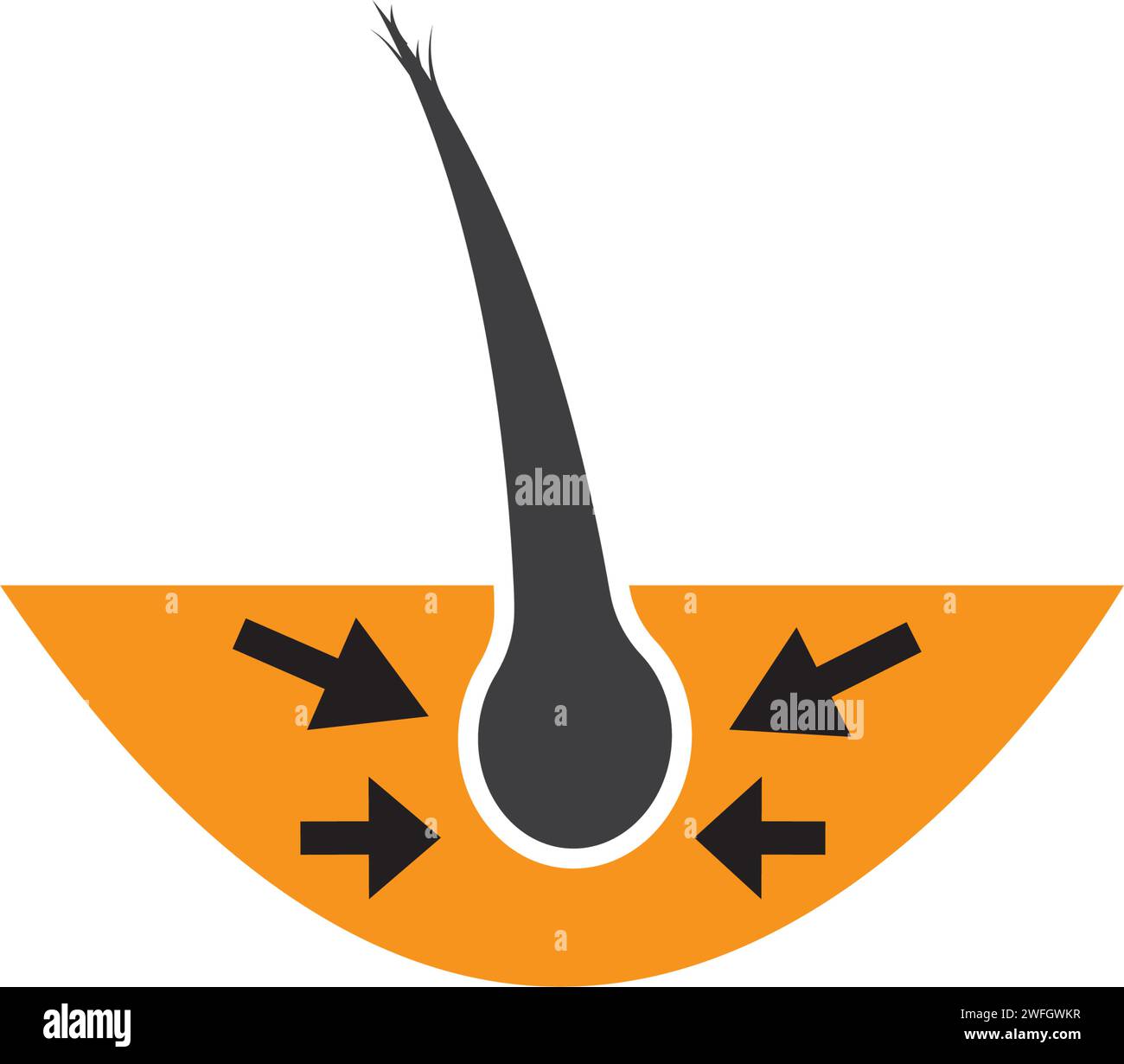Hairless body Stock Vector Images - Alamy