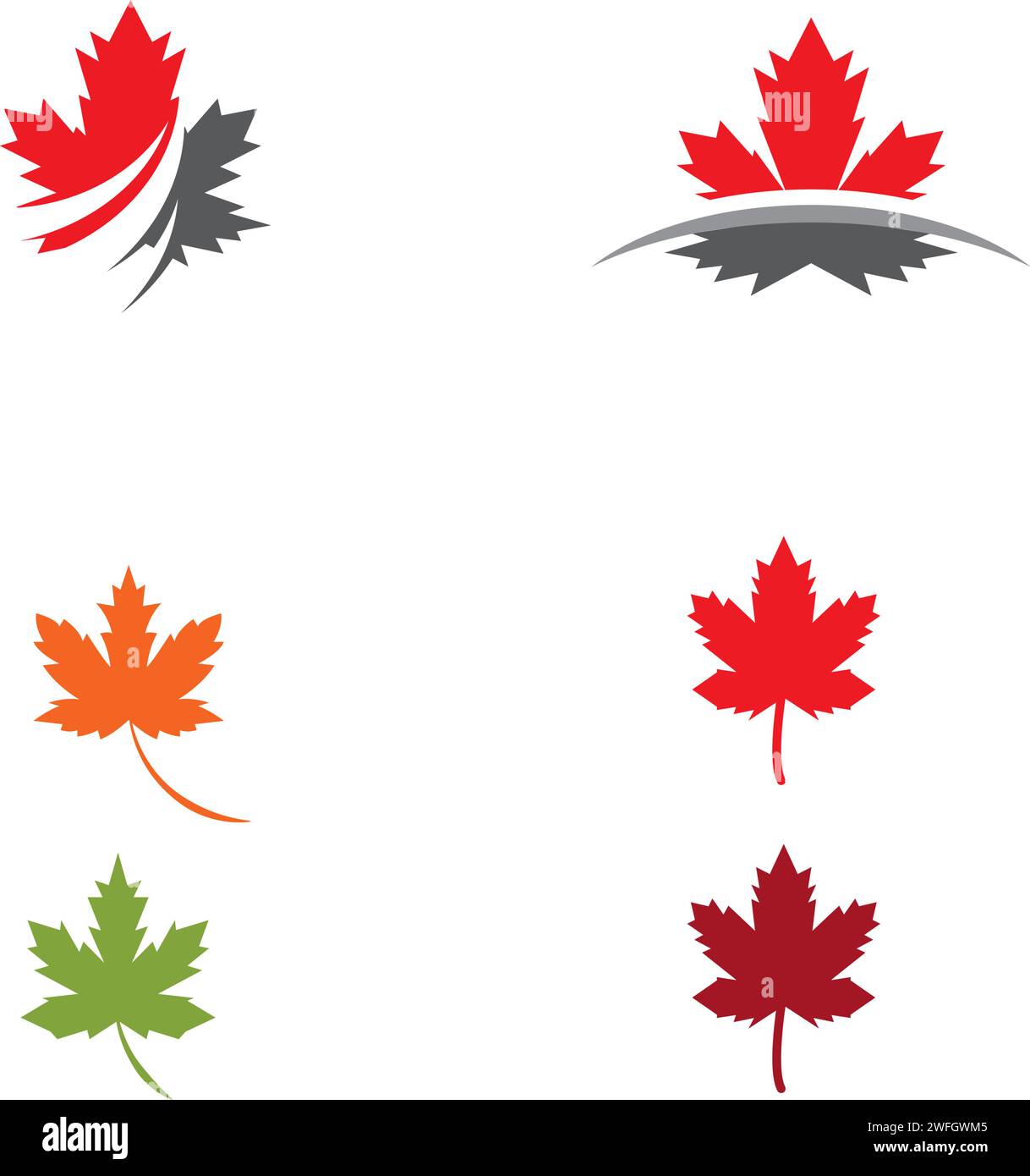 Maple leaf vector illustration design template Stock Vector Image & Art ...