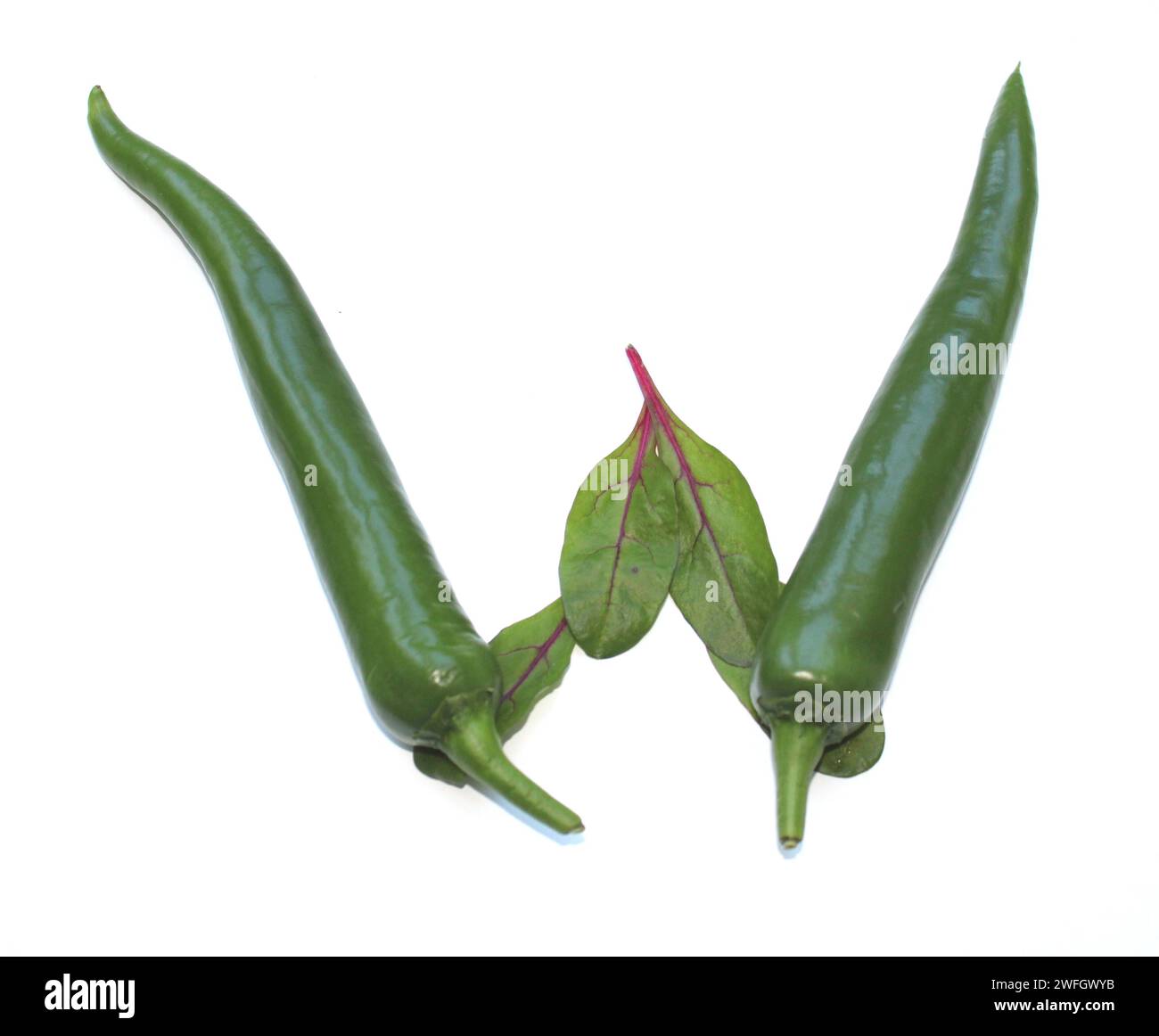 Letter W made from green salad and chili peppers alphabetic ABC capital ...