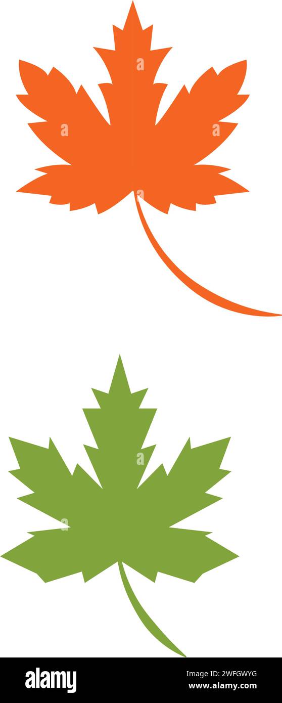 Maple leaf vector illustration design template Stock Vector Image & Art ...