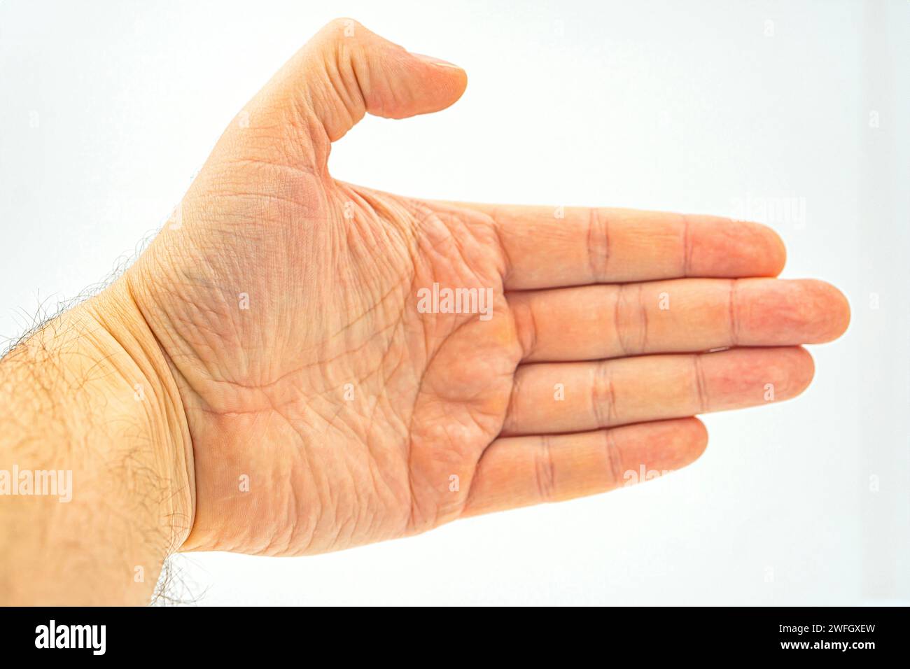 Young child hand holding some like a blank card isolated on a white ...