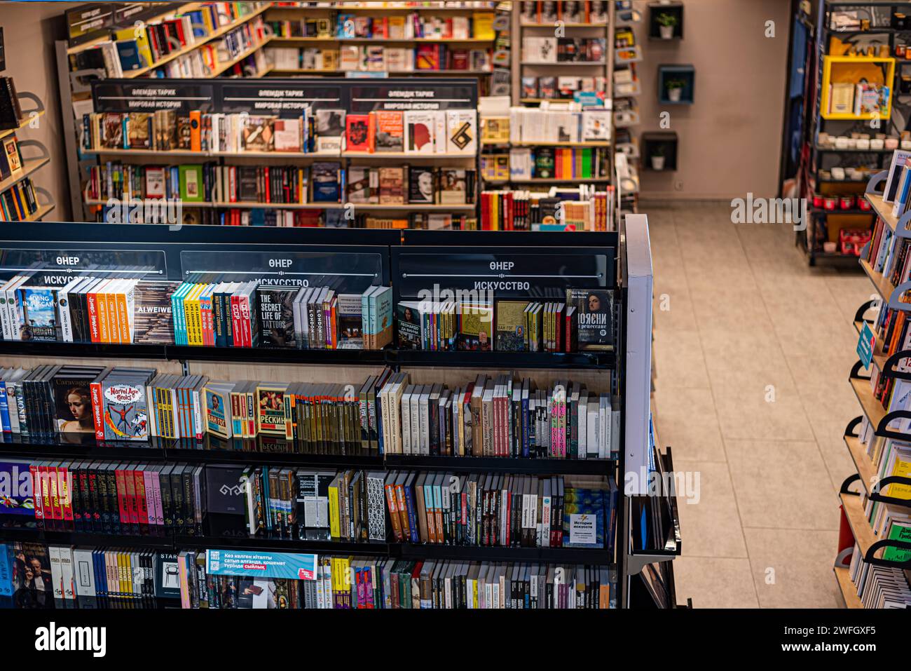 shelf bookstore showcase. general plan top view. books in a bookstore ...