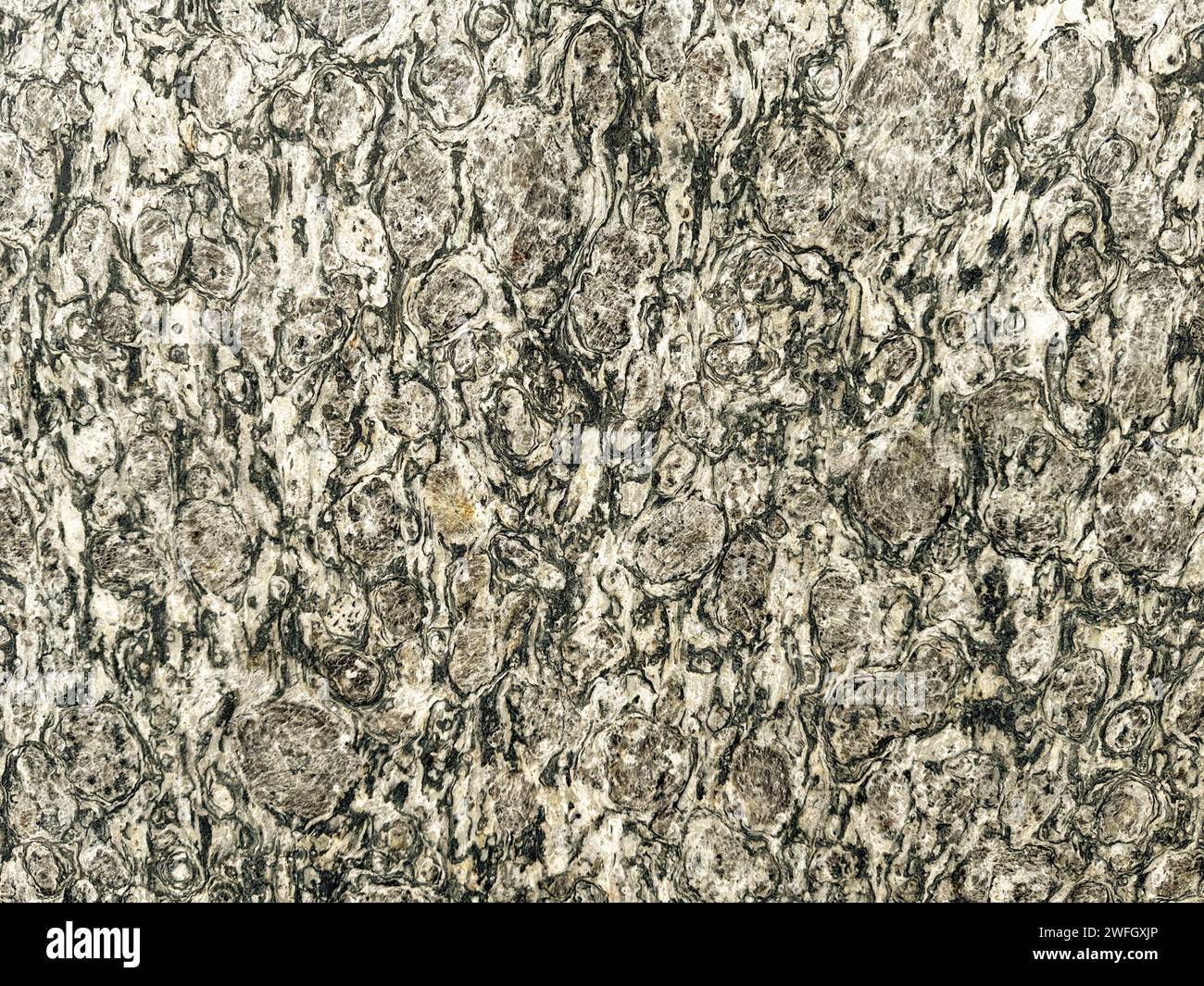 Black vines texture granite slab background Stock Photo - Alamy