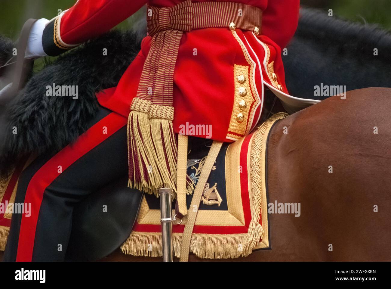 LONDON, UK - JUNE 12, 2010: Uniform detail on mounted Officer of the ...