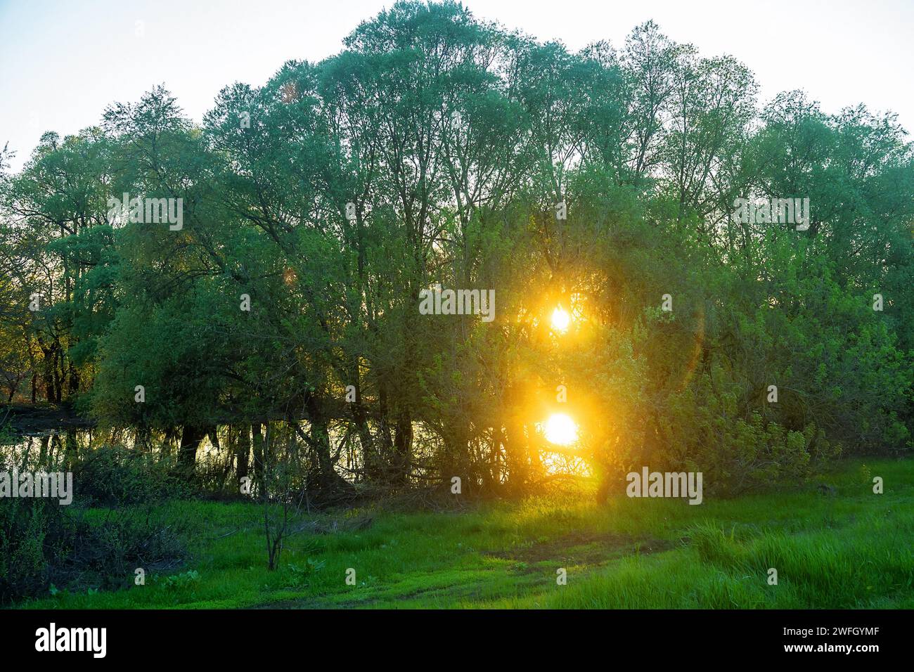 High water (spring flood) on the river and evening low sun with ...