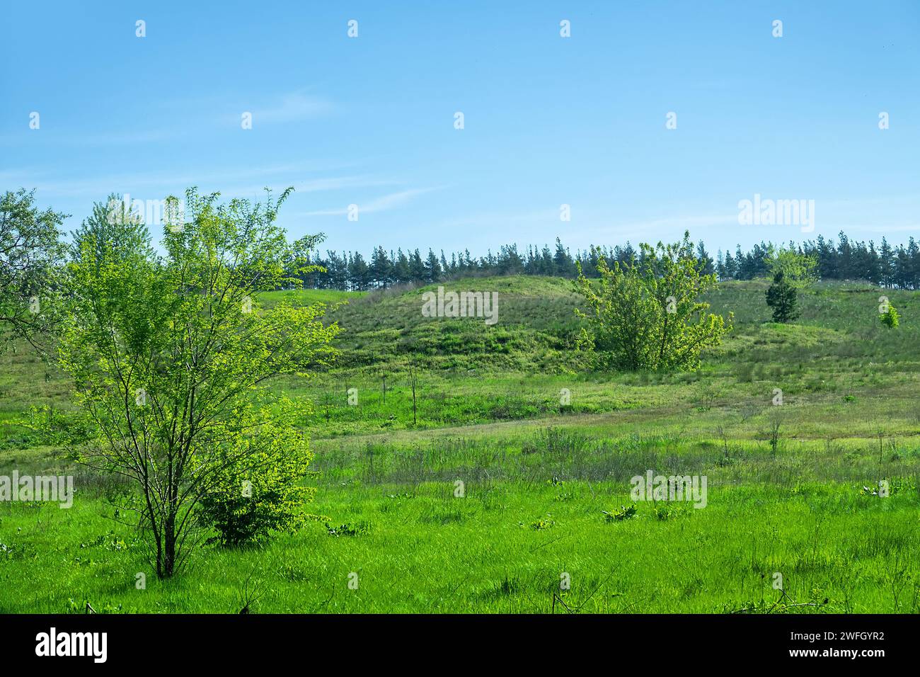 Yar (high bank) with hollow-concave bed in middle reaches of Don River ...