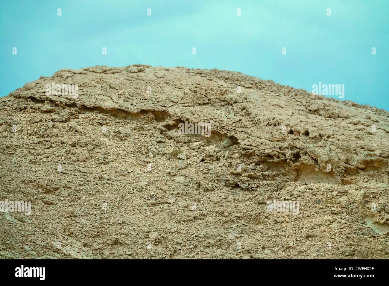 Dry gravel-argillaceous red desert, hamada. Krasnozem predominates ...