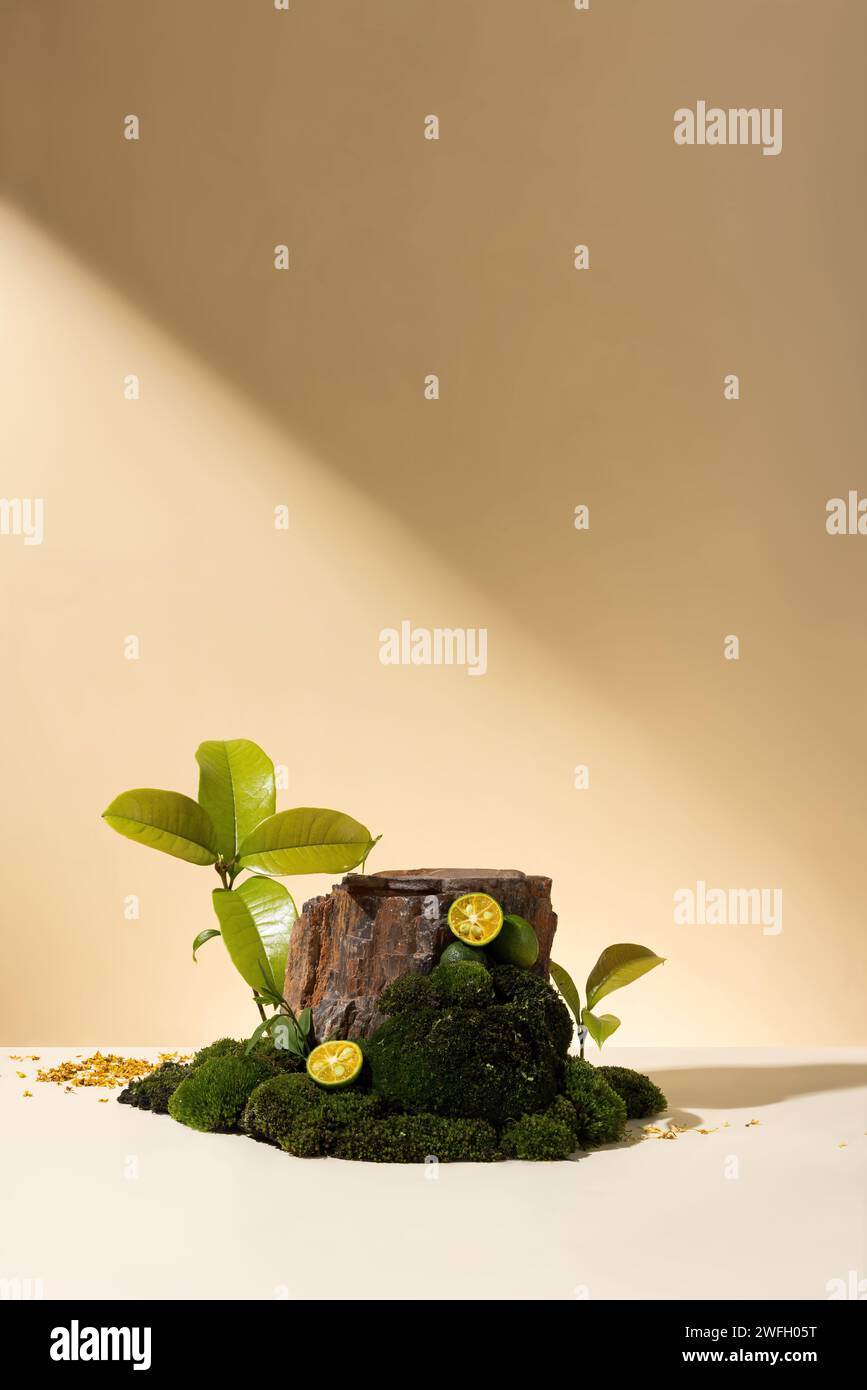 Product showcase backgrounds, product image background, photography ...