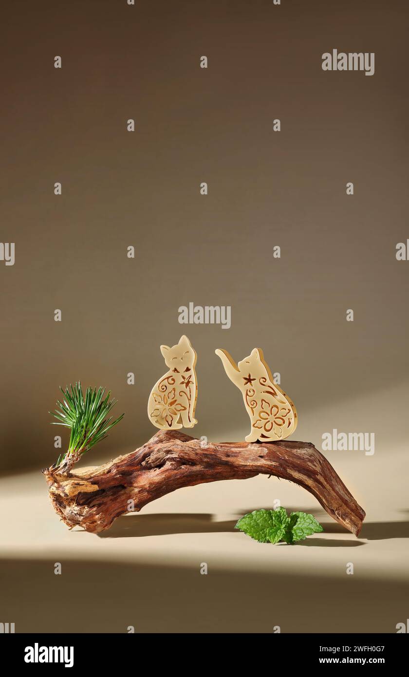 Product showcase backgrounds, product image background, photography ...