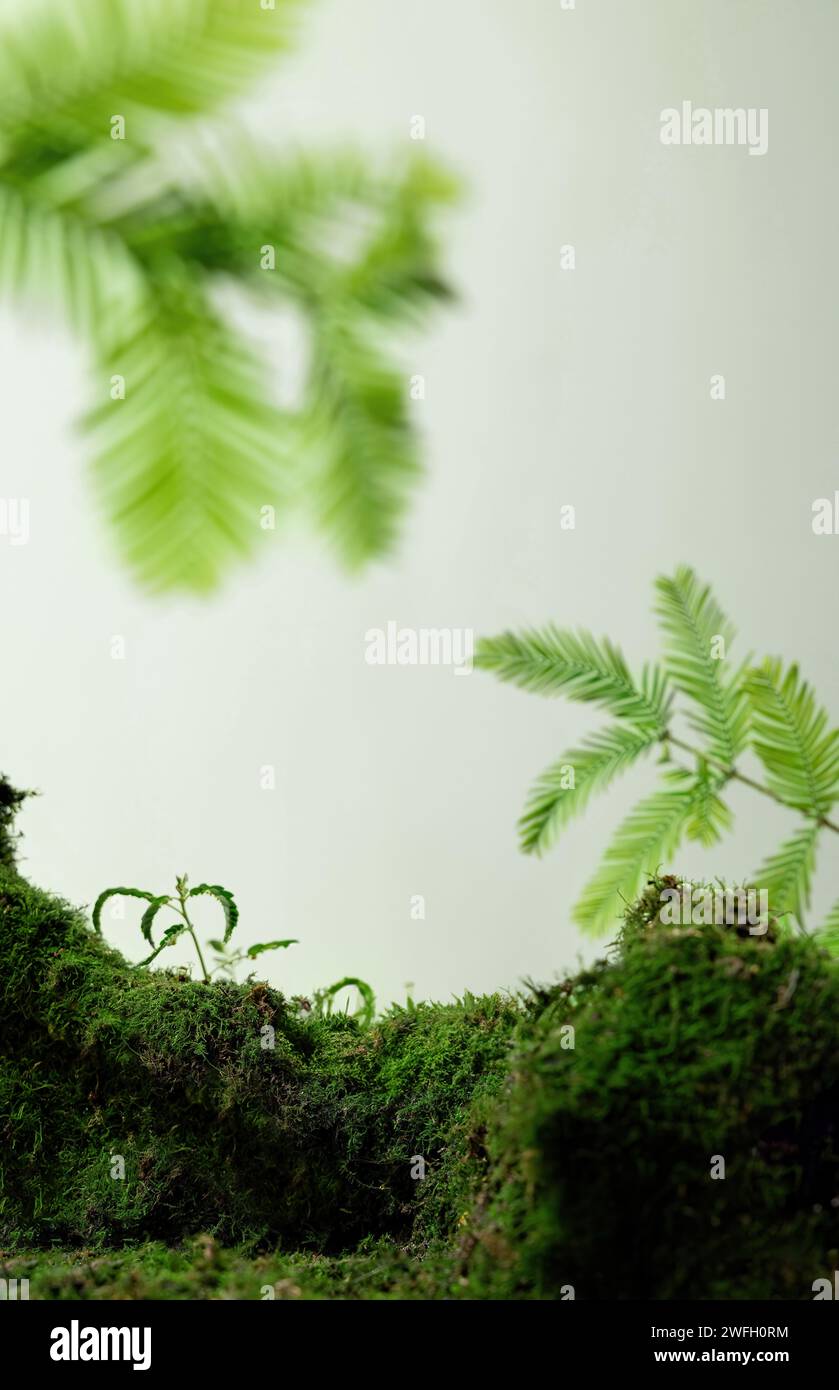 Product showcase backgrounds, product image background, photography ...