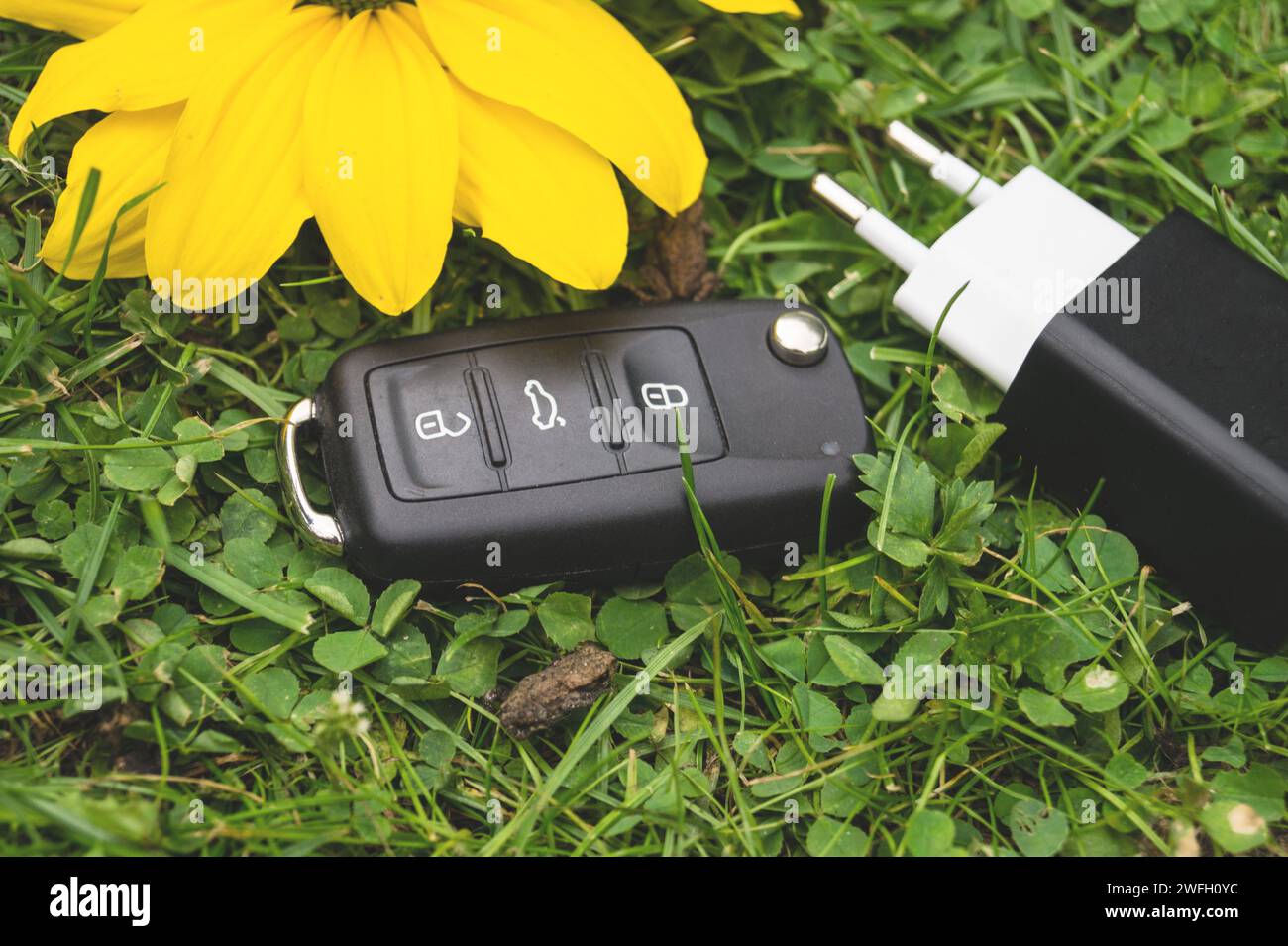 car key, toad, power plug and yellow flower in a meadow, symbol for e ...