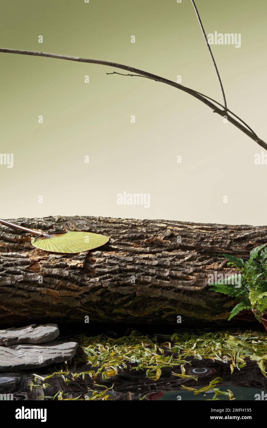 Product showcase backgrounds, product image background, photography ...