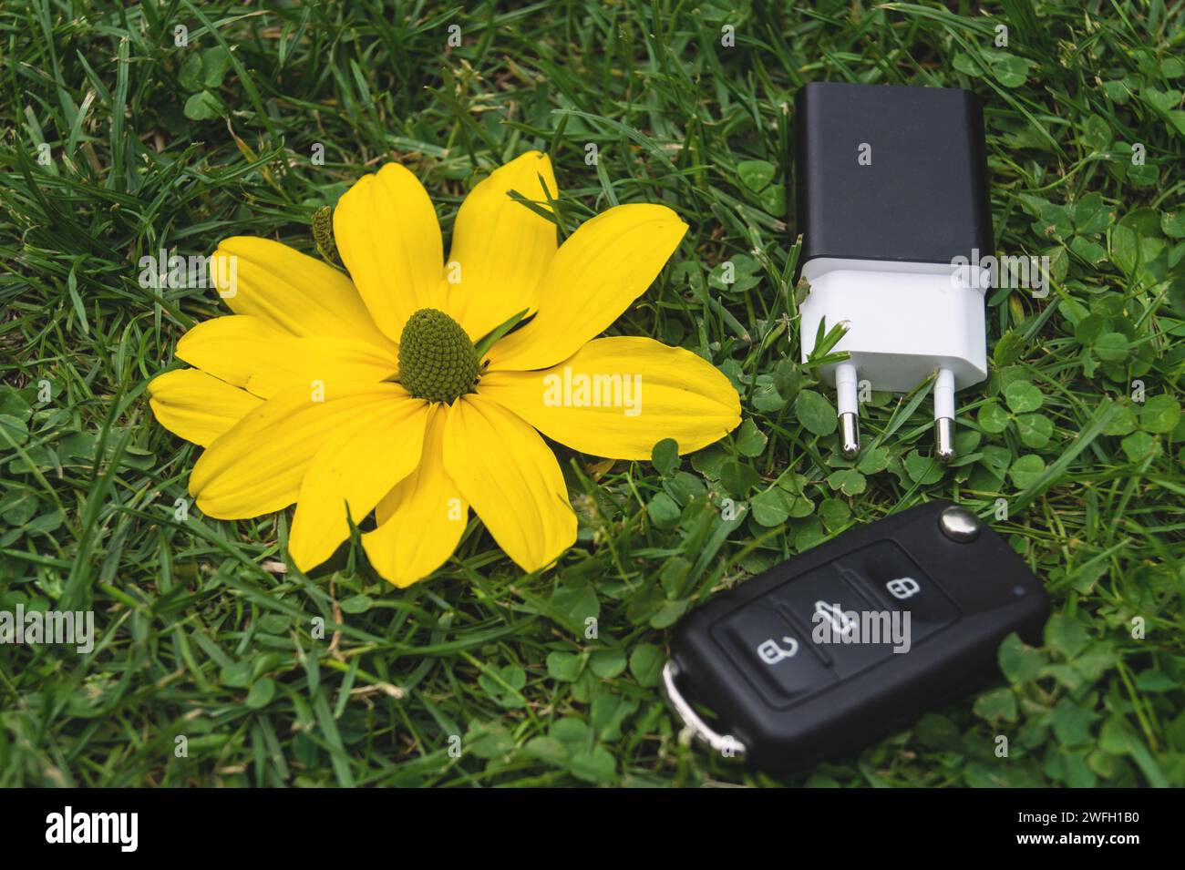 car key, power plug and yellow flower in a meadow, symbol for e ...