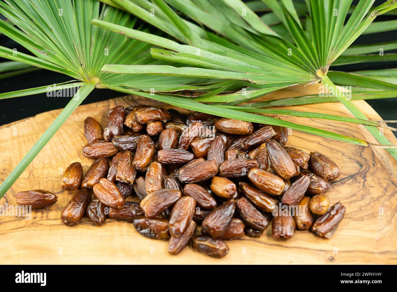 Date palm leaf dried hi-res stock photography and images - Alamy