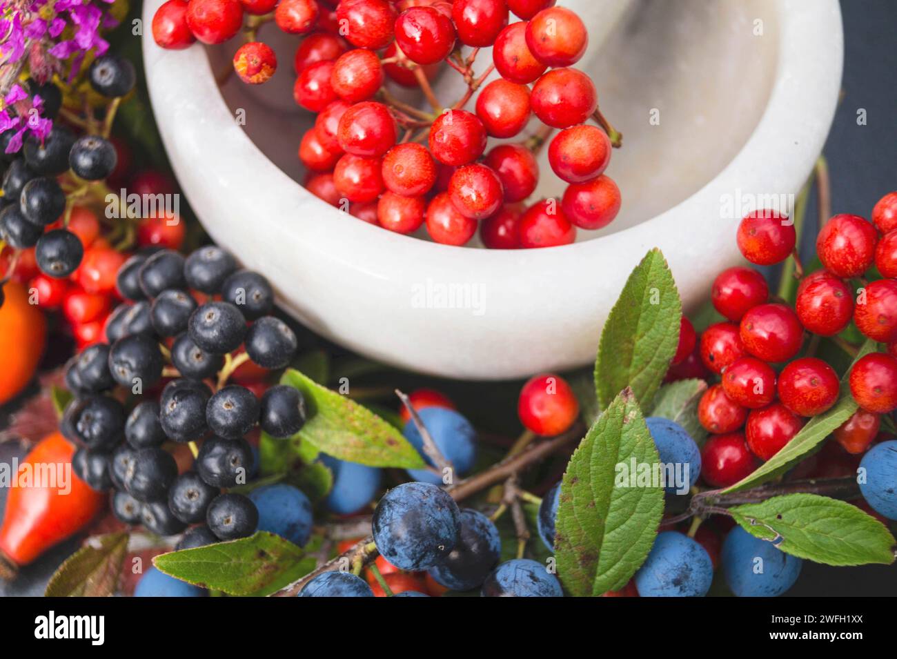 Autumn decoration with mortar and various edible and poisonous fruits ...