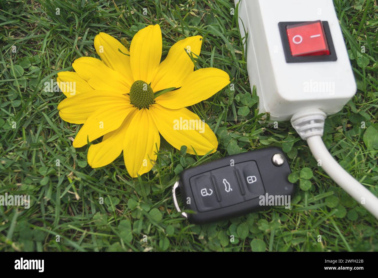 car key, power strip and yellow flower in a meadow, symbol for e ...
