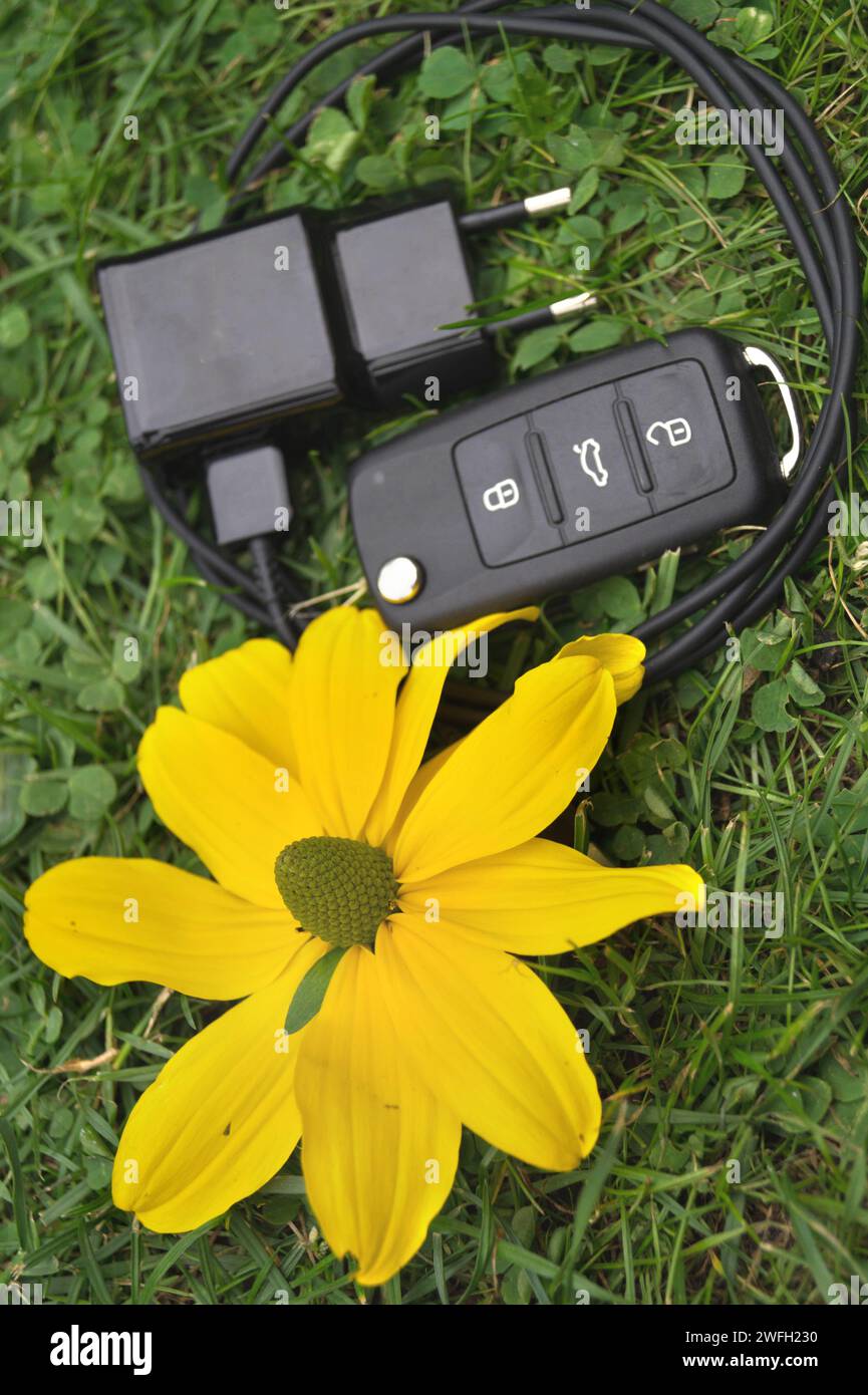 car key, charge cable and yellow flower in a meadow, symbol for e ...