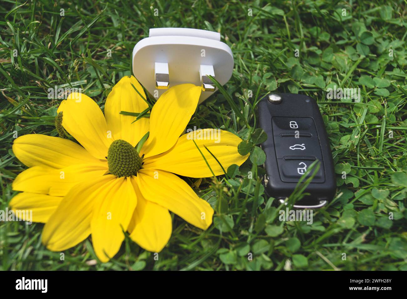 car key, power plug and yellow flower in a meadow, symbol for e ...