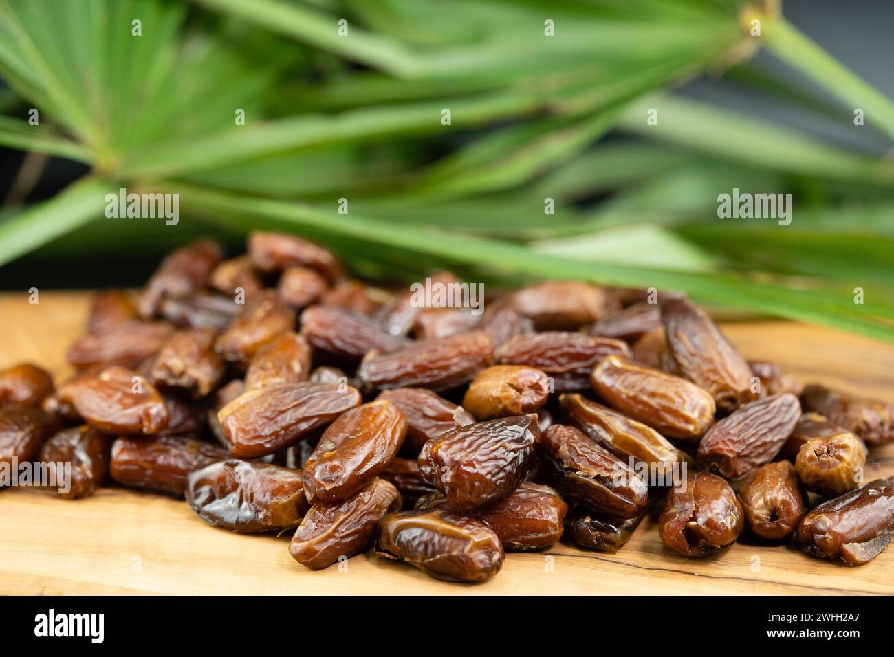 Date palm leaf dried hi-res stock photography and images - Alamy