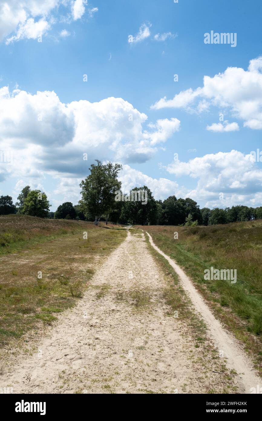 Netherlands, Province of Drenthe, Balloo on 2022-07-05. Balloerveld, a ...