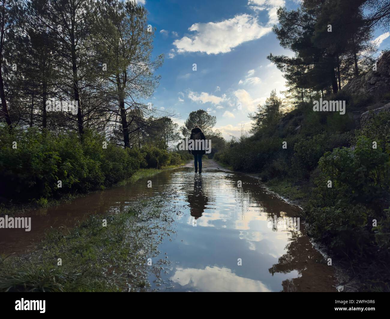 A hiker walks over a puddle in a footpath in the forest of Mt. Eitan in ...