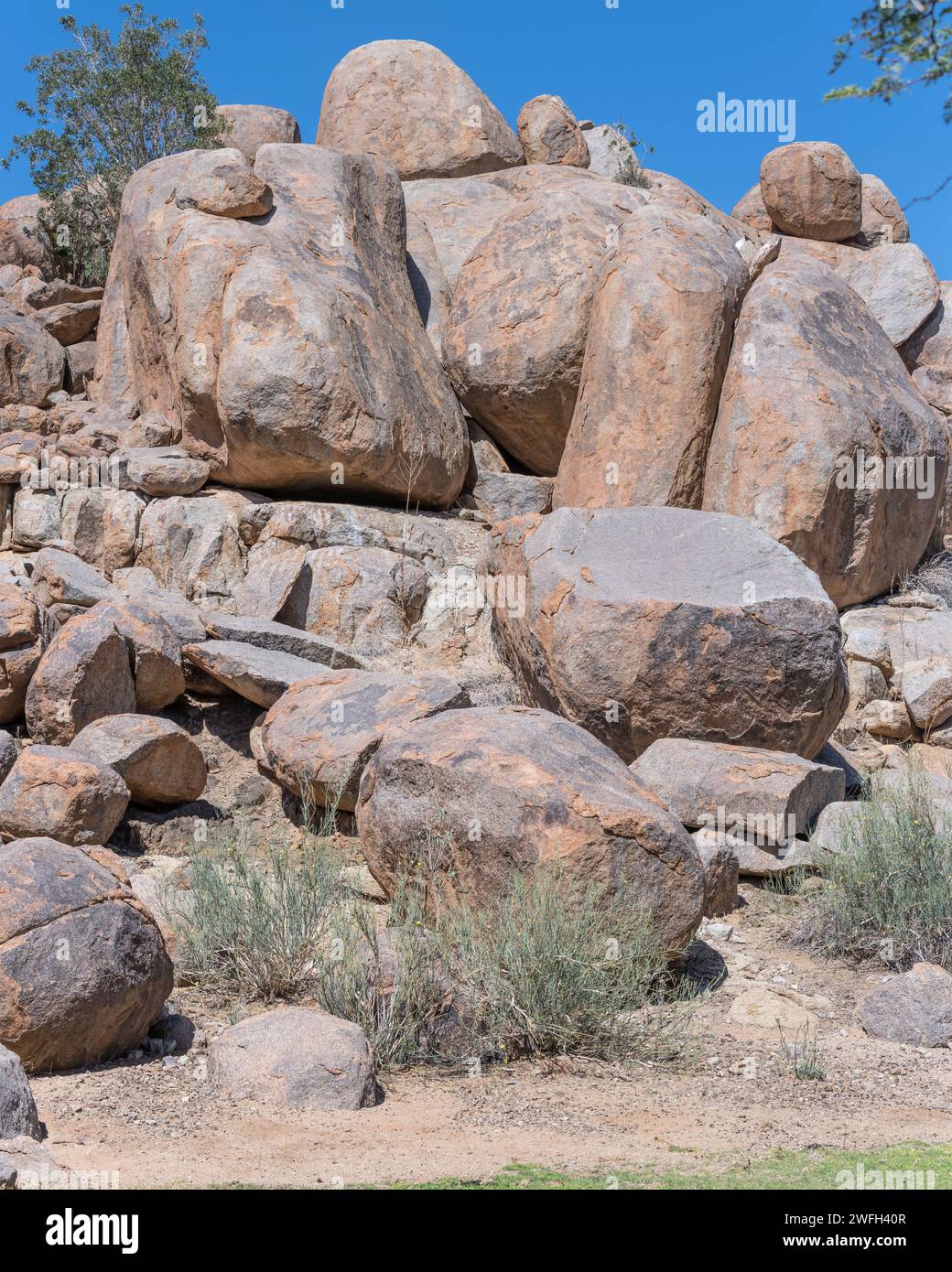 landscape with Euphorbia damarana bushes and Dolerite big boulders in ...