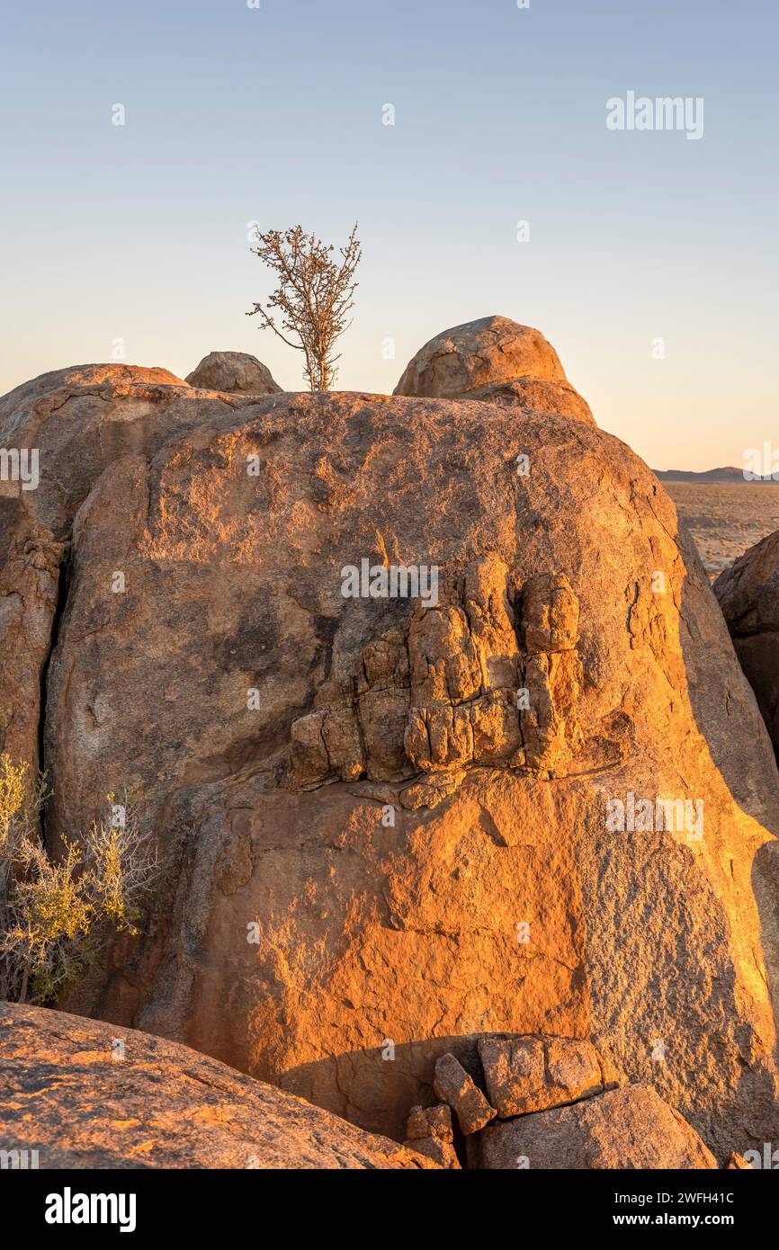 Dolerite rock hi-res stock photography and images - Alamy