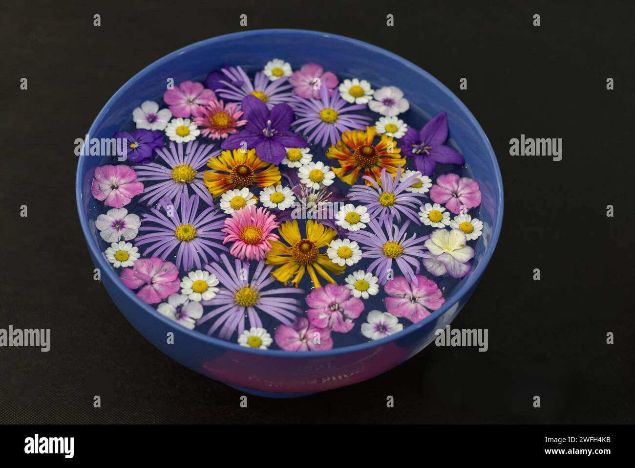 flowers floating in water in a blue bowl Stock Photo - Alamy