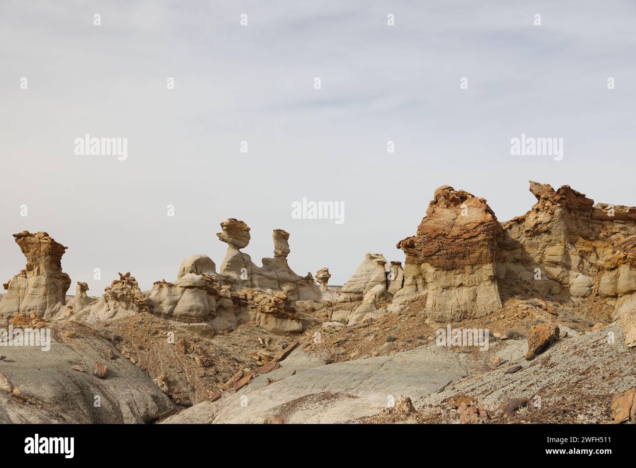 De-na-zin wilderness area, Bisti badlands, New Mexico Stock Photo - Alamy