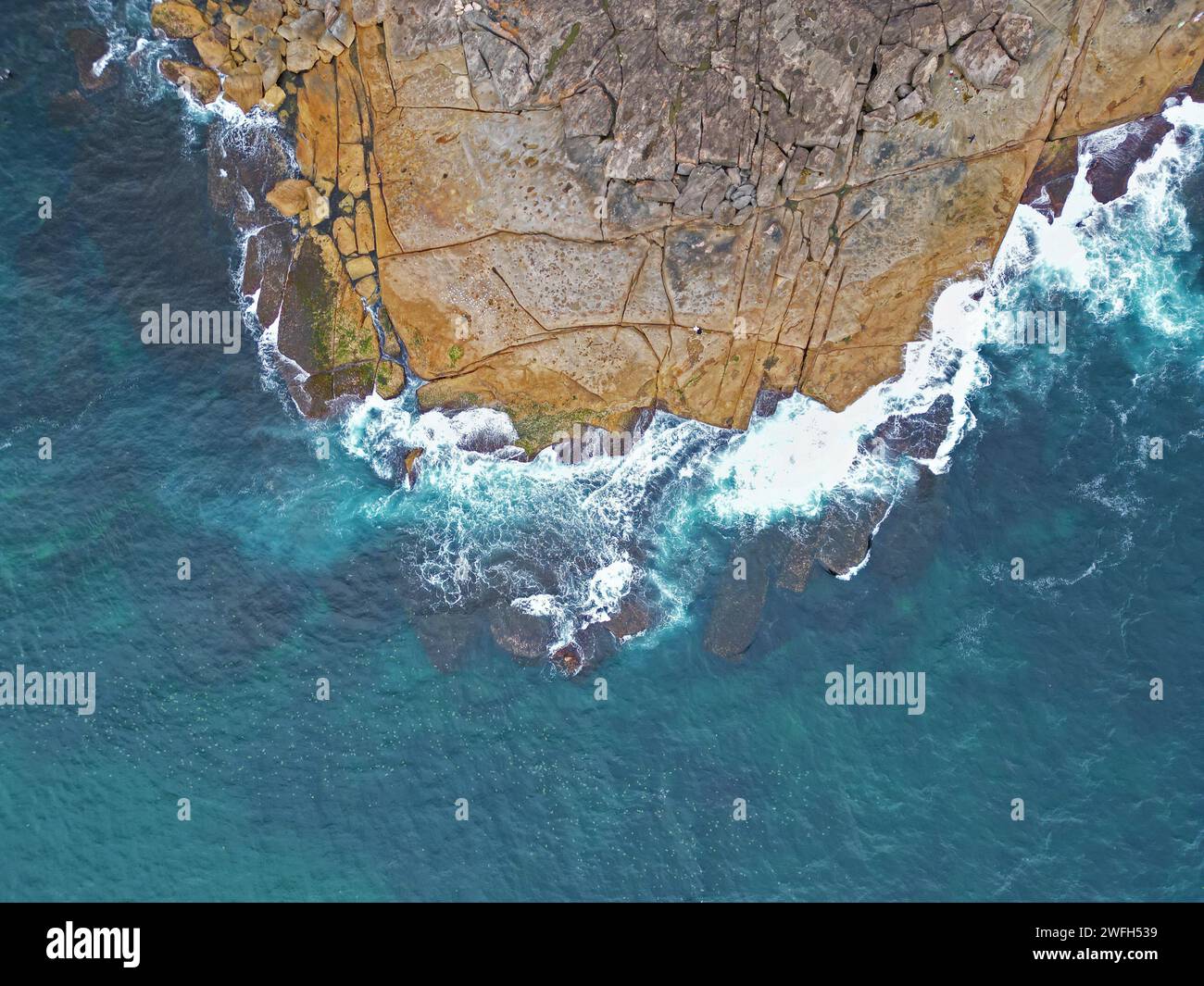 Freshwater exploration hi-res stock photography and images - Alamy