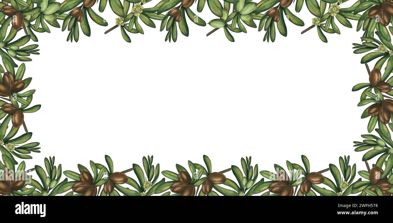The border is a pattern of argan tree branches with nuts. Watercolor ...