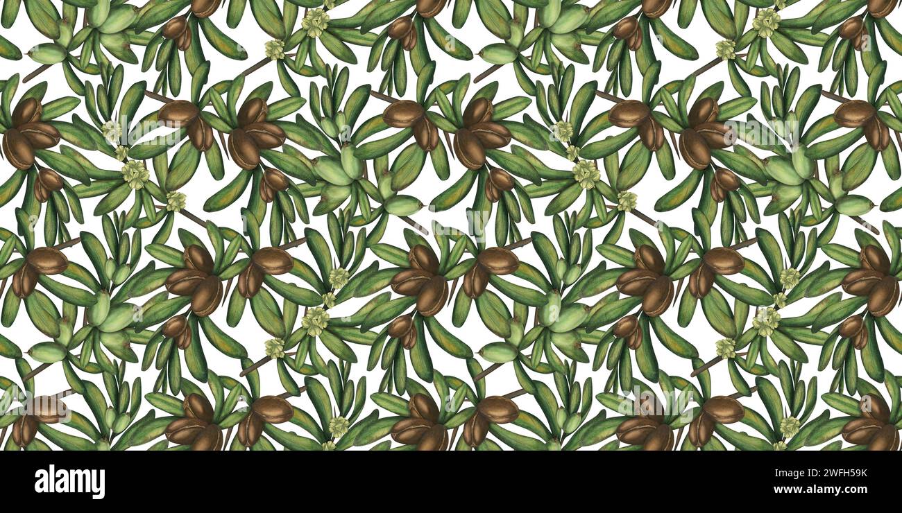 The pattern is a pattern of branches of an argan tree with nuts ...