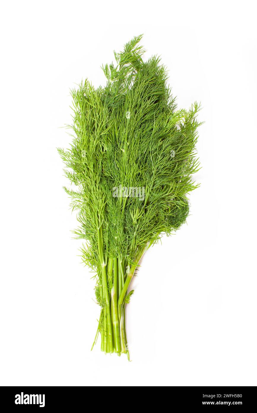 dill bunch isolated on white background Stock Photo - Alamy
