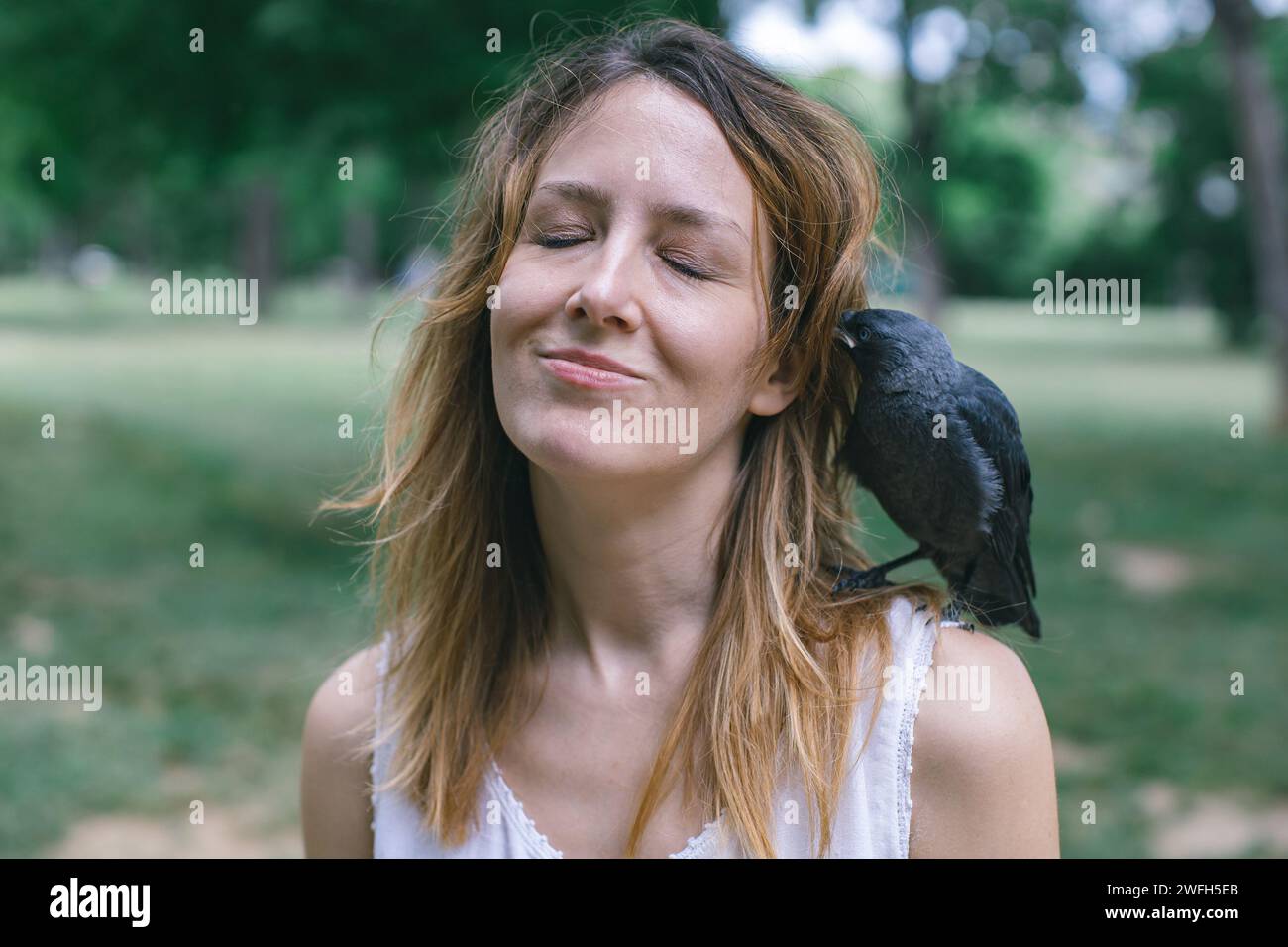 jackdaw bird interacting with young woman Stock Photo - Alamy