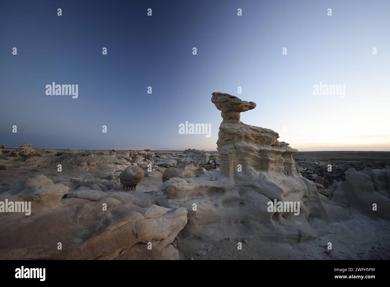 Strange Rock Formation in Bisti Badlands Valley dreams New Mexico USA ...