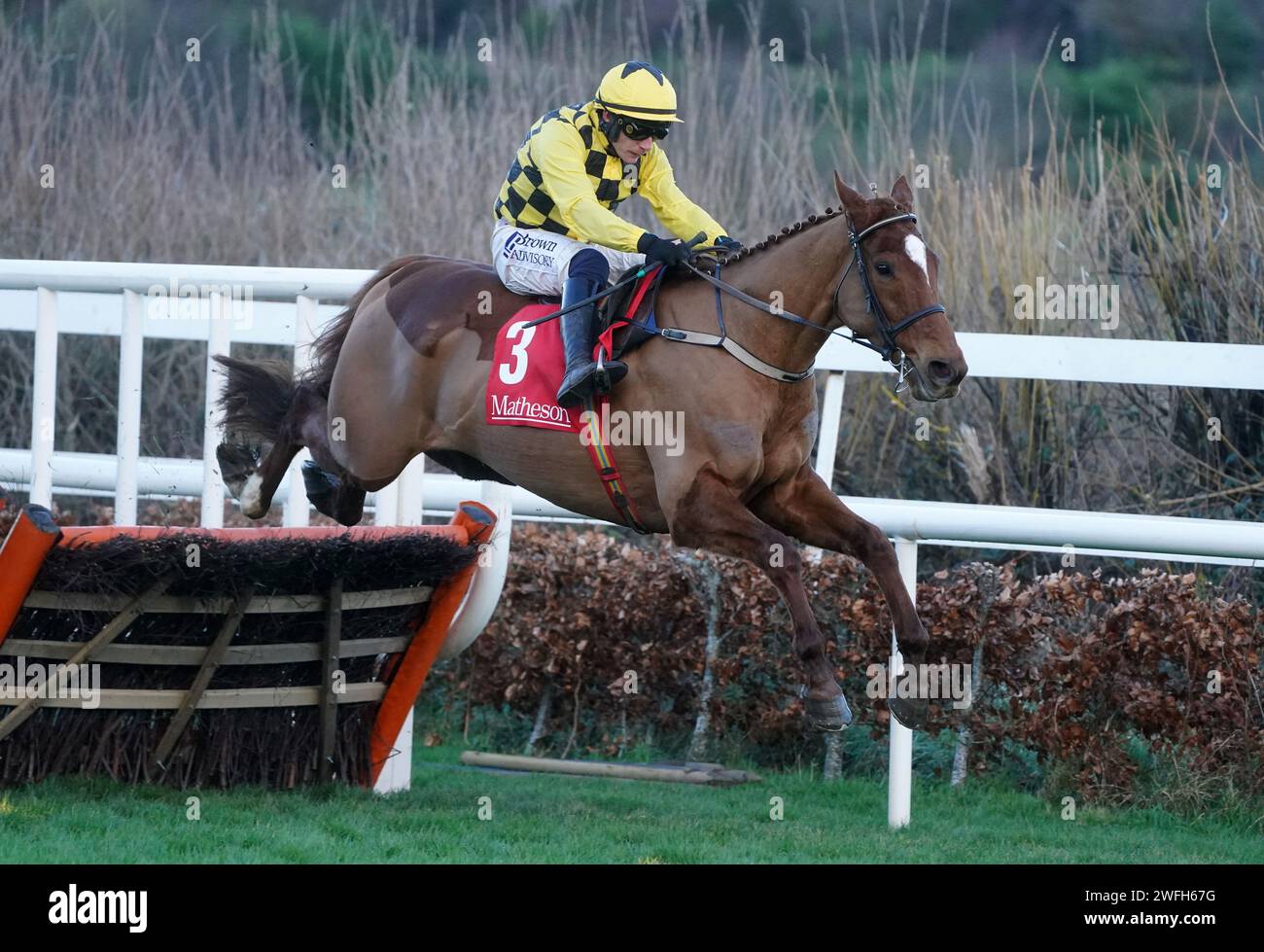 2024 champion hurdle state man hi-res stock photography and images - Alamy