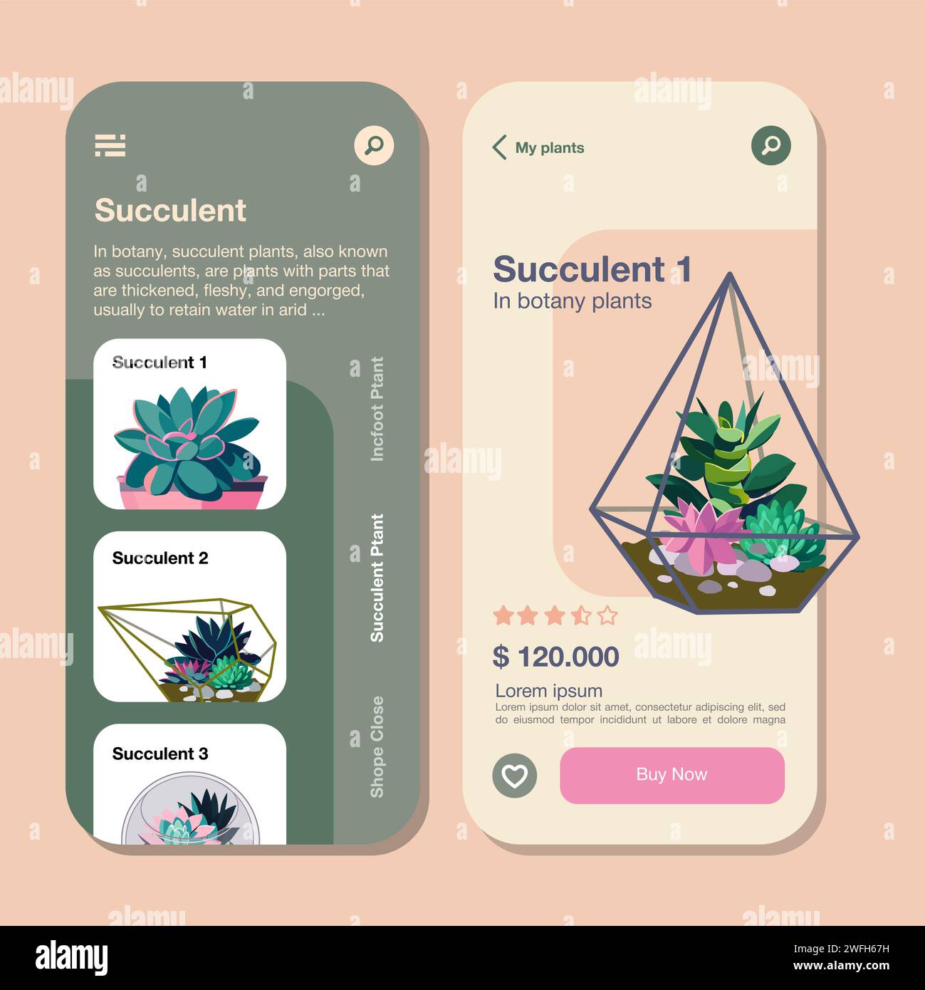 Succulent plant UI package template for mobile app. Various succulents ...