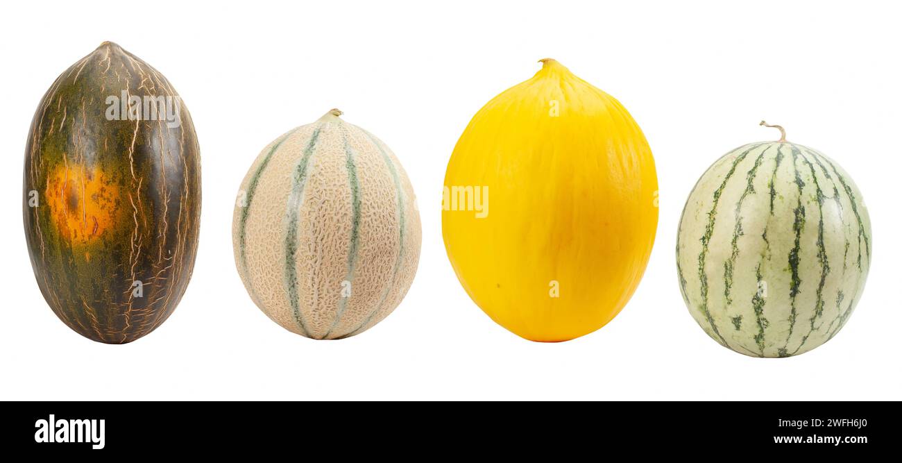 assortment of fresh melons isolated on white background Stock Photo - Alamy