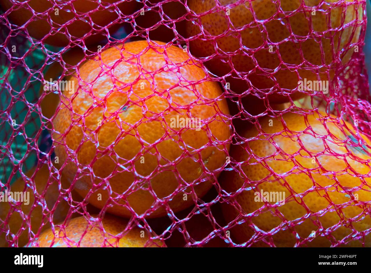 Orange, Orangen im Orangennetz, Obst und Gemüse - Sortiment im ...