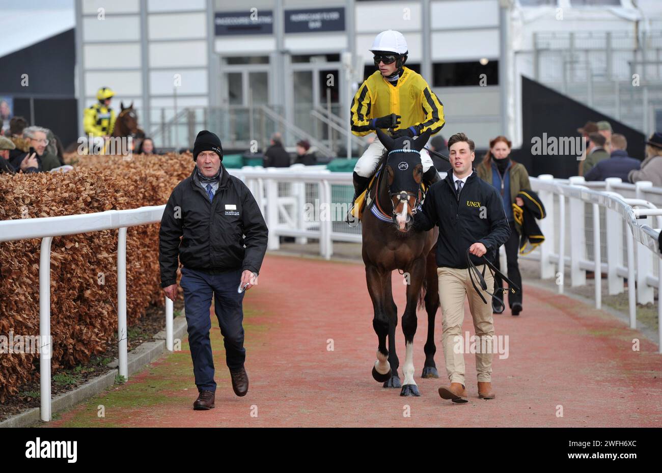 Burdett road horse hi-res stock photography and images - Alamy