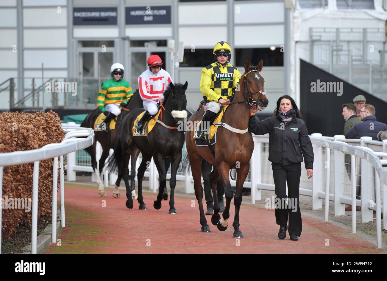 Race 1 12.05 The JCB Triumph Trial Hurdle Race. Leading the way Sir ...
