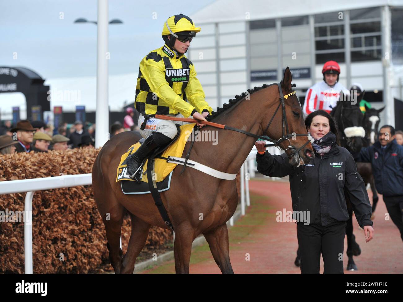 Cheltenham festival 2024 gold cup day cheltenham racecourse hi-res ...