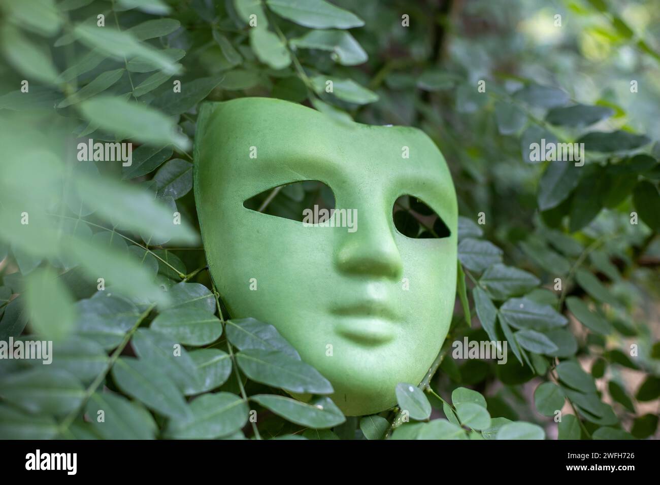 green carnival mask hidden in tree leaves Stock Photo - Alamy