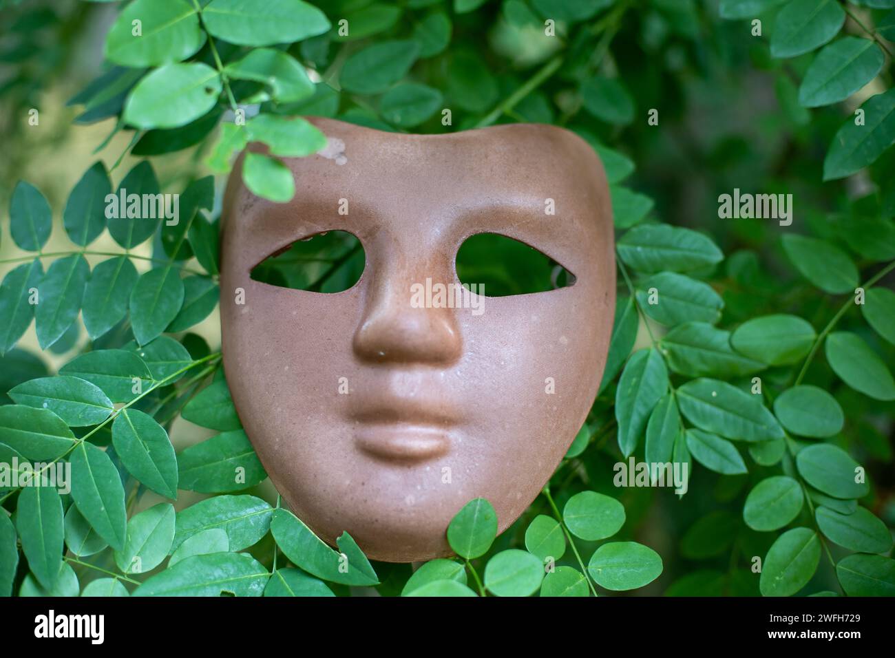 Hidden eyes in the earth hi-res stock photography and images - Alamy