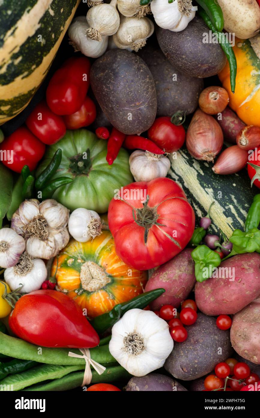Runner beans display hi-res stock photography and images - Alamy