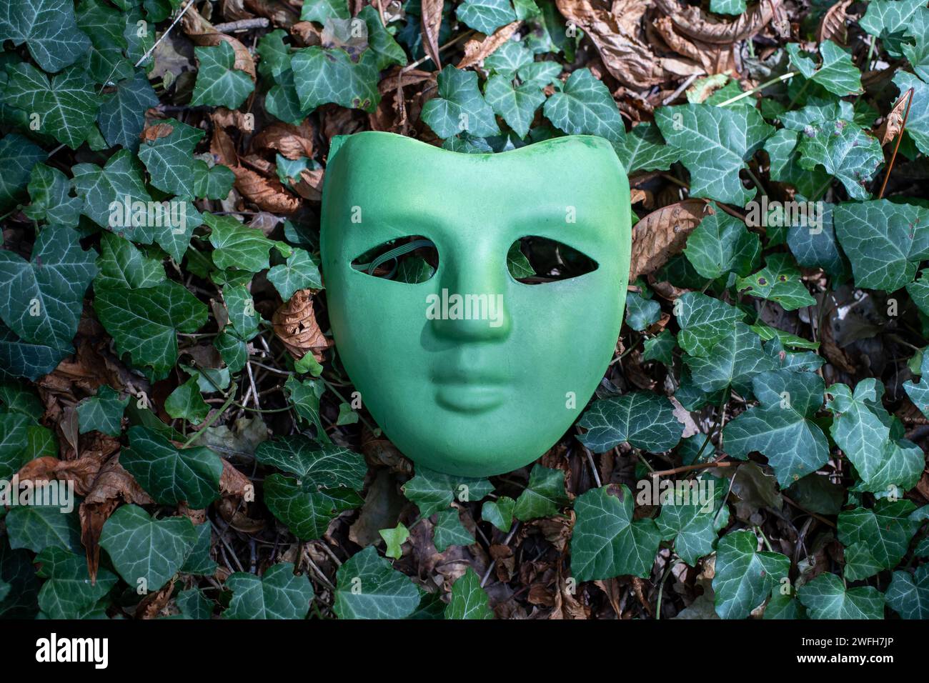 green carnival mask hidden in tree leaves Stock Photo - Alamy