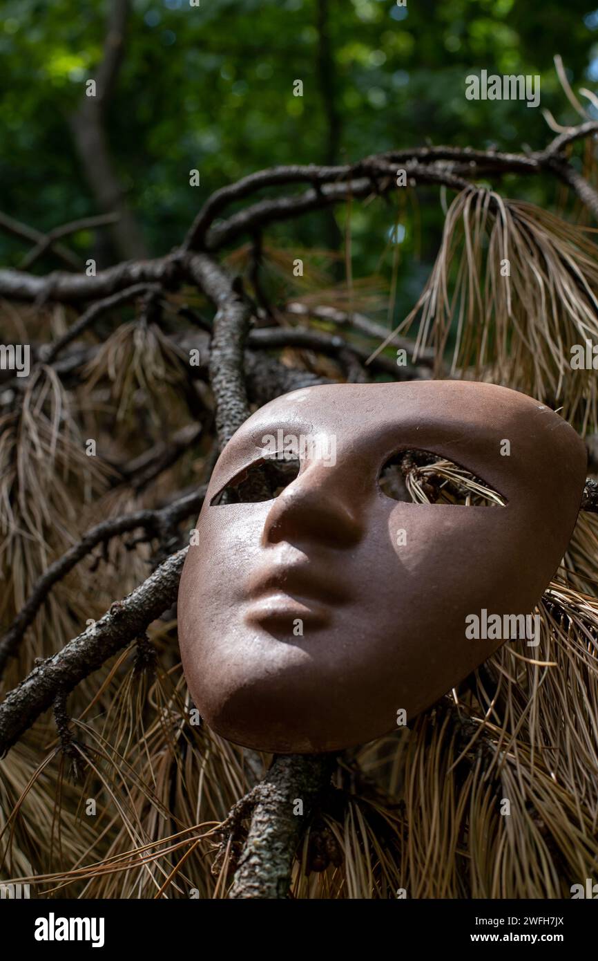 brown carnival mask hidden in tree needles Stock Photo - Alamy